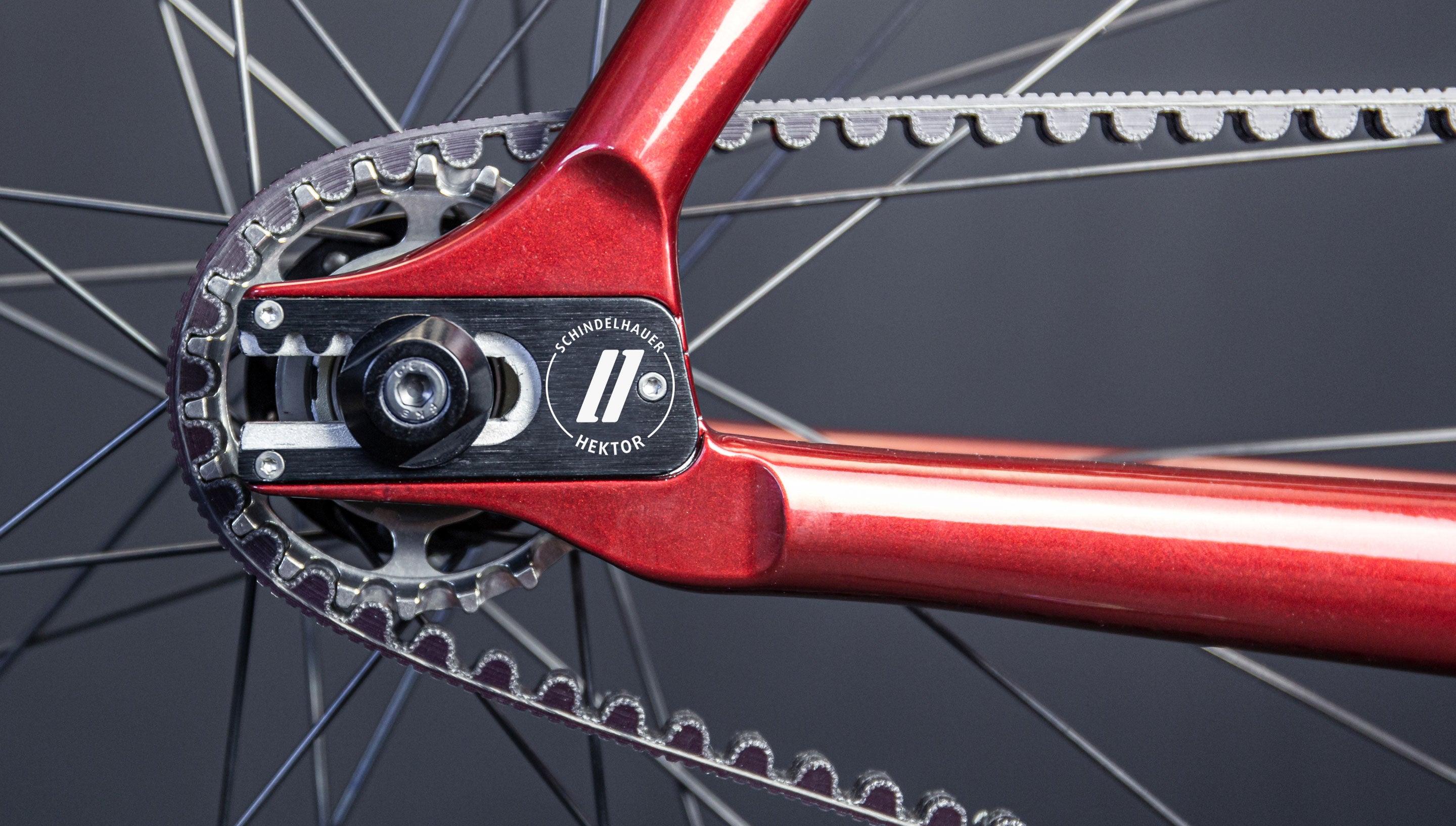 Explorons les avantages des vélos à courroie en carbone ...